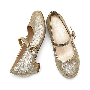 DREAM PAIRS Girls Mary Jane Low Heel Princess Flower Wedding Party Pump Dress Shoes KFL219 Gold Size 11 Little Kid