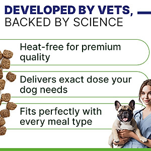 ADVANCED Hemp Hip & Joint Supplement for Dogs - Glucosamine for Dogs - Dog Joint Pain Relief Treats - Chondroitin Turmeric MSM Hemp Oil - Hemp Treats for Joint Health - Senior Mobility Support Chew