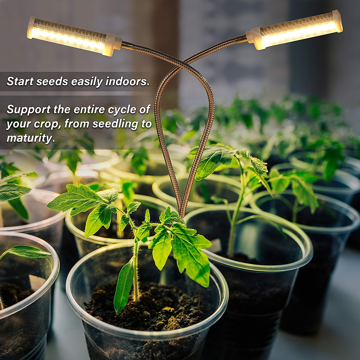 Brite Labs LED Grow Lights for Indoor Plants & Seedlings, Dual Head Plant Growing Lamps with 100 Full Spectrum Bulbs, Auto On Off Timer, Adjustable Gooseneck Arms, Desk Clip On, Dimmable Switch Modes