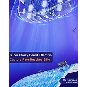 Indoor Fly Trap, Plug-in Bug Light Catcher with UV and Blue Light - Fruit Fly Traps for Indoors, Gnats, Mosquitoes, Flies, Moths,House Flies - Fly Traps Indoor for Home (2 Plug-in Base + 10 Refills)