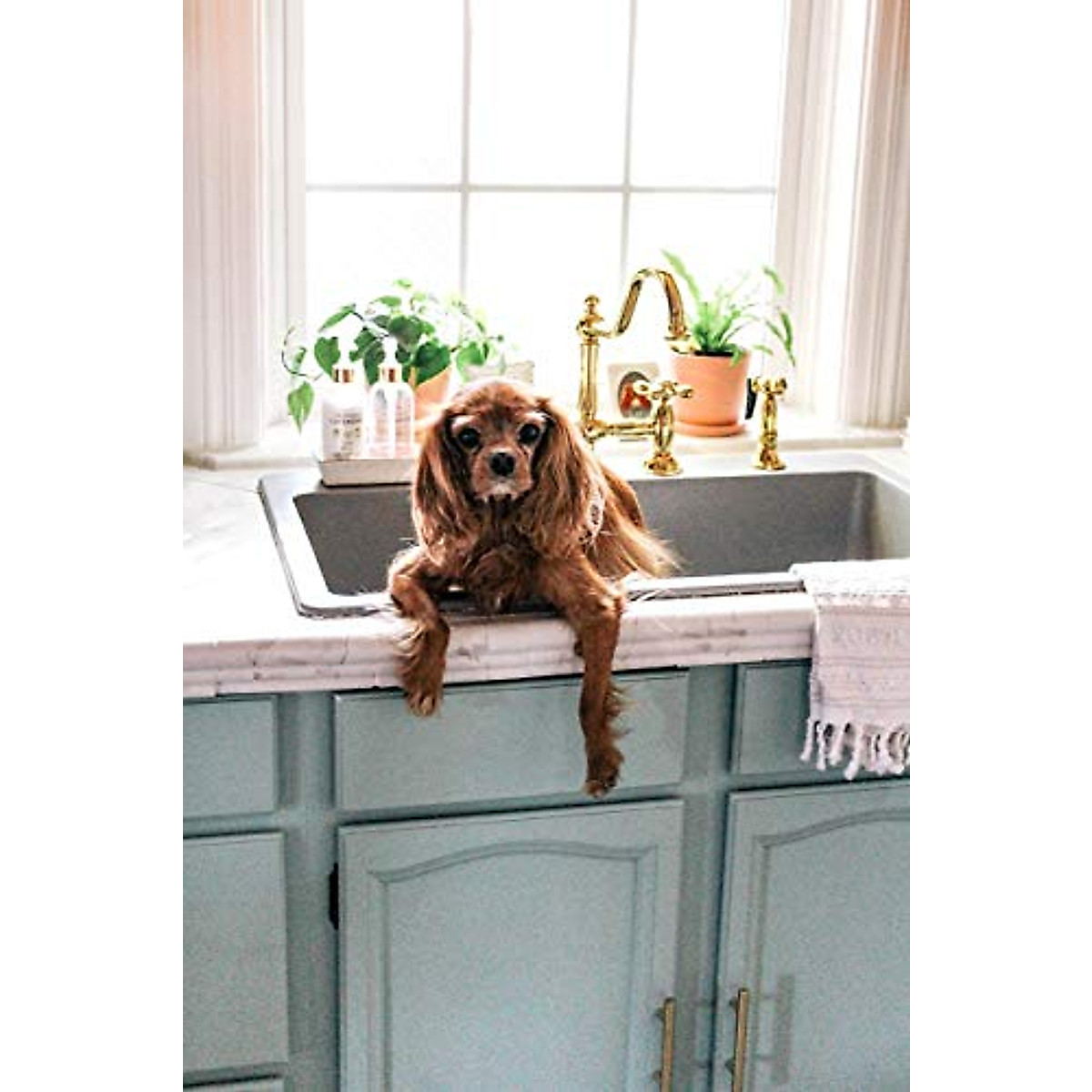 Kingston Brass KS3792AXBS Restoration Bridge Kitchen Faucet, 9", Polished Brass