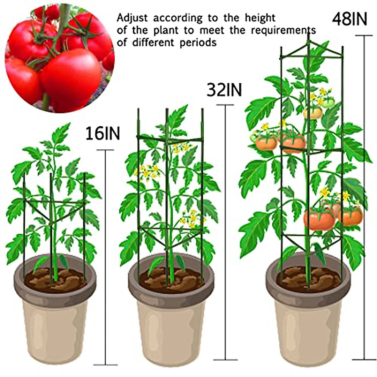 3 Packs Tomato Cages,Plant Cages Up to 48inch Garden Tomato Stakes,Multi-Functional Garden Trellis Assembled Garden Stakes Climbing Plant Support for Climbing Plants,Vegetables, Flowers,Fruits,Vine