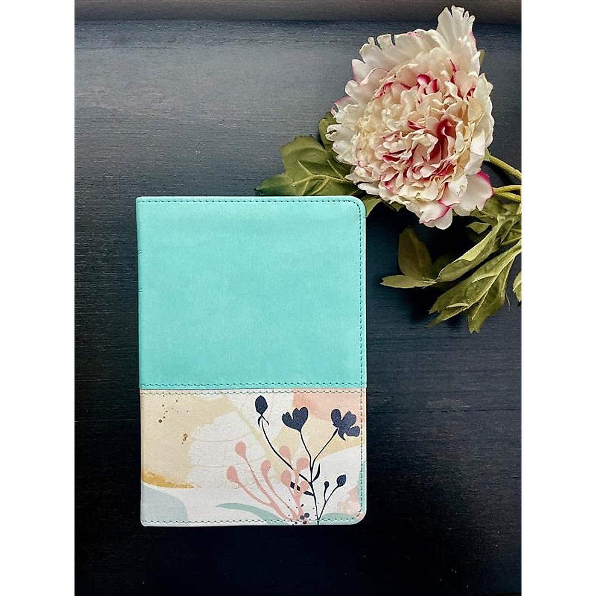 Santa Biblia NTV, Edición compacta, letra grande (SentiPiel, Menta, Letra Roja) (Spanish Edition)