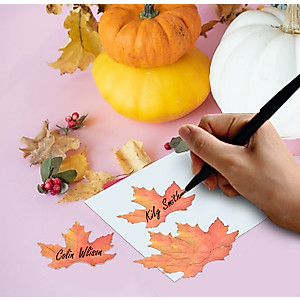 Gift Boutique 100 Count Thanksgiving Table Maple Leaf I Am Thankful for Cards Tree Kit Bulletin Board Cutouts Autumn Name Cards Table Place Settings Fall Gratitude Wall Decor Leaf Cutout