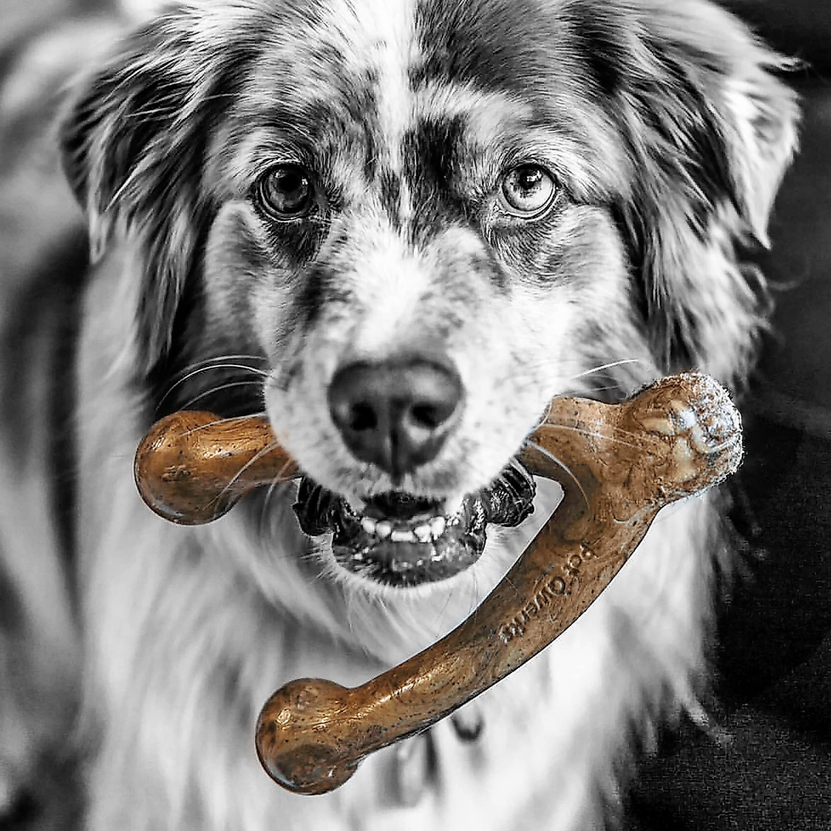 Pet Qwerks Wishbone BarkBone - Nylon Chew Toy for Aggressive Chewers - Bacon Flavor - 8.25"