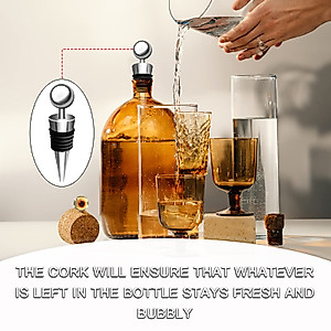 BLMHTWO 4 Pieces Wine Stopper Wine Bottle Stopper Reusable Round Head Tapered Beverage Bottle Stopper Saver Sealer Wine Stoppers Corks for Wine Champagne Bar Party Wedding, Plastic