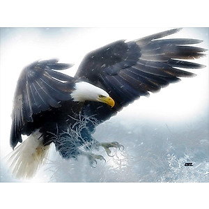 American Bald Eagle Flying Kitchen Glass Cutting Board Patriotic Decorative Gift Design