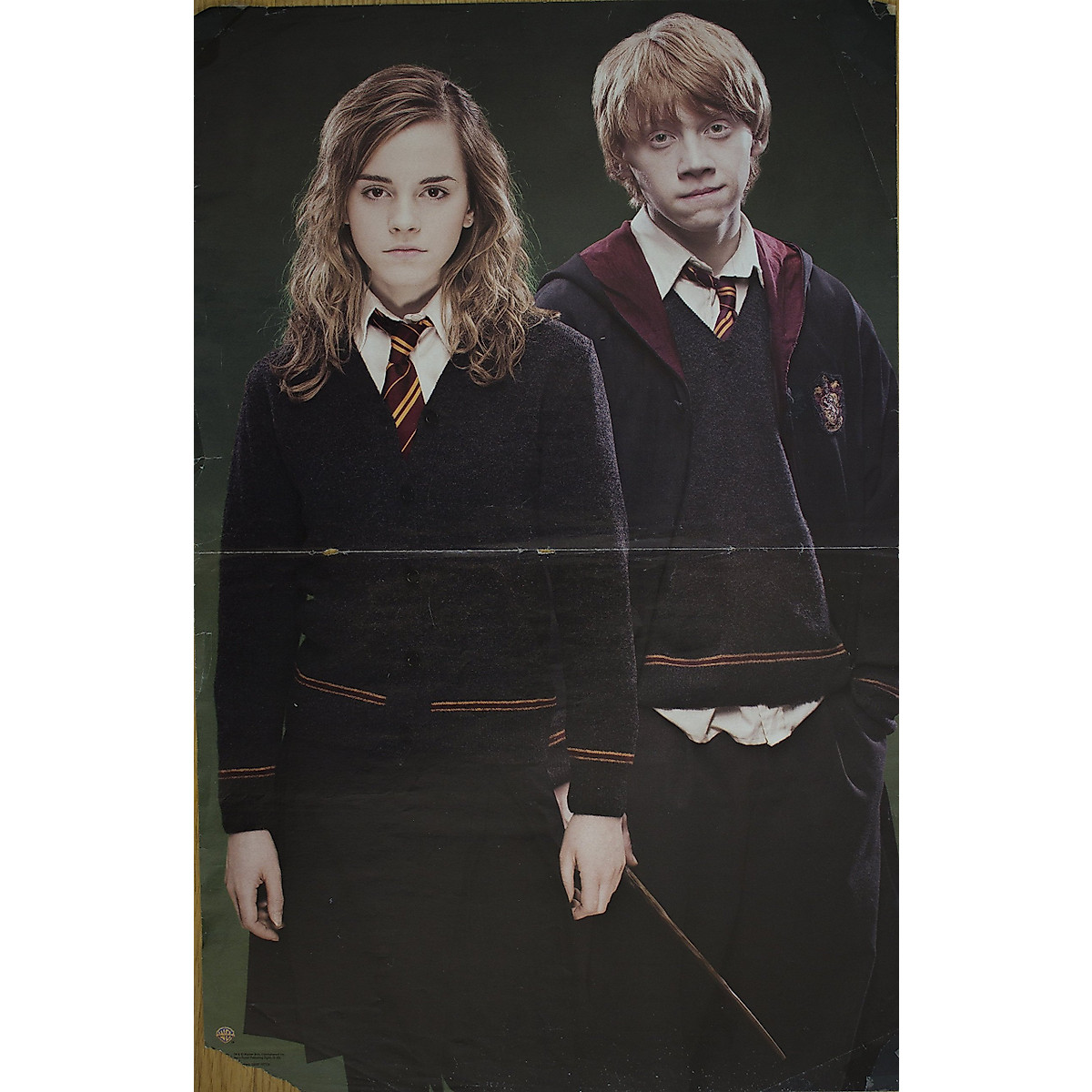 Harry Potter and The Order of The Phoenix. Sticker Album