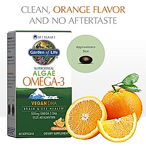 Garden of Life Minami Algae Omega 3 Vegan DHA for Brain and Eye Health - Orange Flavor, 500mg Plant Based DHA Omega-3 Vegan Algae Oil Plus Astaxanthin, No Aftertaste, 60 Easy-to-Swallow Mini Softgels