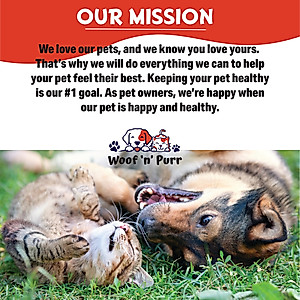 Cranberry Supplement for Dogs - Dog UTI Treatment - Dog Cranberry Supplement - Cranberry for Dogs - Dog UTI Cranberry - Dog UTI - UTI Treatment for Dogs - UTI Dogs - 1 fl oz - Bacon Flavor