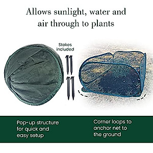 Gardeneer by Dalen Pop-Net Portable Protective Enclosure – Lightweight and Weatherproof – Easy DIY Installation – Safeguard Your Plants Against Garden Pests - 40" x 40" x 20"