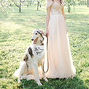 KOOLTAIL Dog Wedding Bandanas, 2 Pack Wedding Gift for Engagement Announcement Photos, Pet Scarf Accessories for Dog Lovers Bridal Show