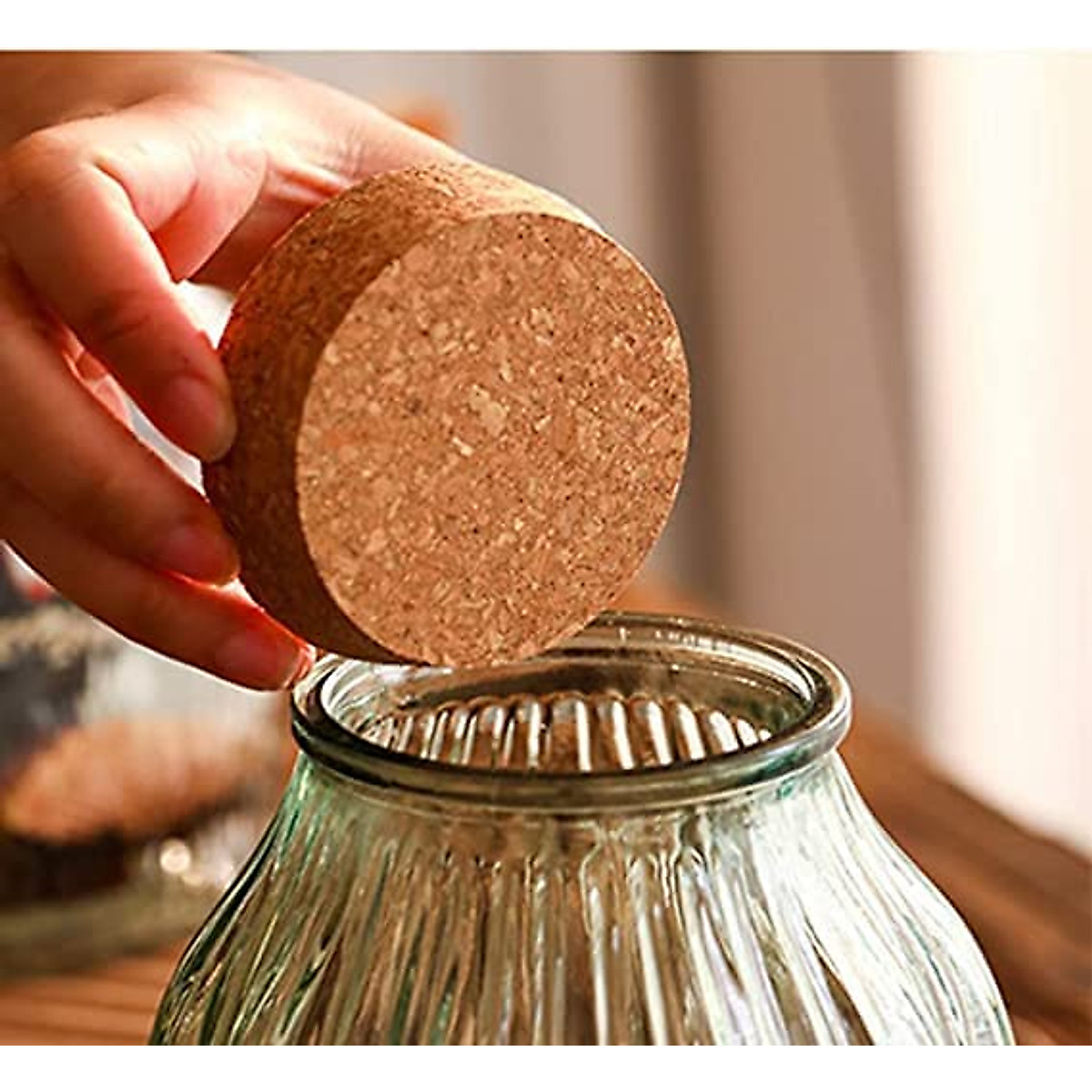 123Arts Glass Relief Cactus Candy Jar Candy Dish Container Snack Jar Food Storage Jar with Lid