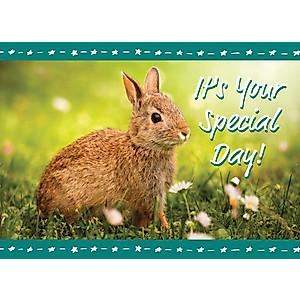 HTL Card-Boxed-Childrens Birthday-Fuzzy Friends (Box of 12)