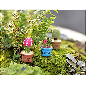 7 in 1 Dollhouse Decoration Plant Pots Miniature Green Potted Miniature Bonsai Model Dollhouse Accessories Decor,1 12 Scale Doll House Miniature Plant Model (7 dersert Plants Bots)