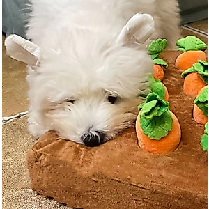 Carrot Patch Cat Toy,Interactive Cat Toy Carrot Patch,Cat Carrot Patch Catnip,Carrot Catnip Puzzle,Cat Carrot Patch Toy,Carrot Patch Cat Treats,Carrot Cat Toy (12 Carrot)