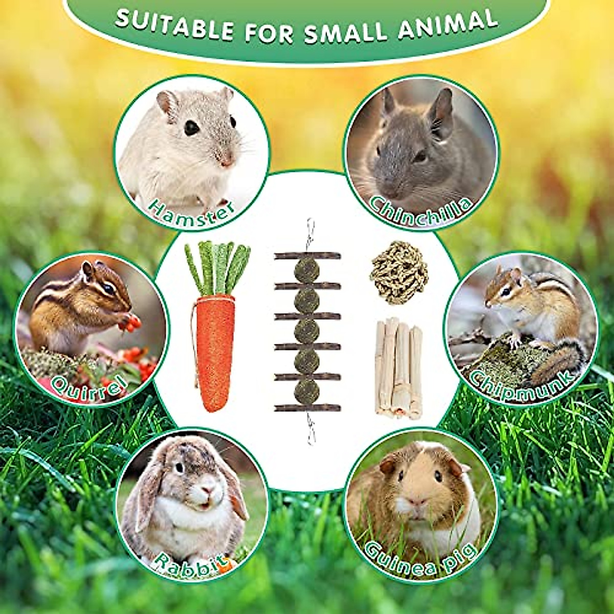 GANBRIPS 4 Pack Rabbit Chew Toys for Teeth, Bunny Chew Treats, 100% Natural Apple Wood Sticks Timothy Hay Balls Loofah Carrot Sweet Bamboo Toys for Bunnies/Chinchillas/Guinea Pigs/Hamsters