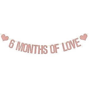 6 Months of Love Banner, Half Way to One Banner, Happy 6 Month, Half Birthday Decorations, 1/2 Birthday Baby Shower Party, First Birthday Party Supplies Rose Gold Glitter