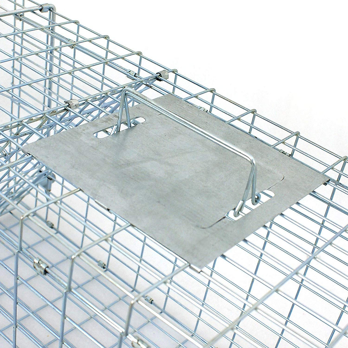 Oteymart Live Animal Trap Cage Catch Release Humane Rodent Cage with Handle Metal Steel for Rabbits, Stray Cat, Squirrel, Raccoon, Mole, Gopher, Chicken, Opossum (32" X 12" X 12")