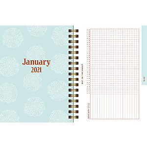 Posh: Deluxe Organizer 17-Month 2020-2021 Monthly/Weekly Planner Calendar: So Much Gratitude