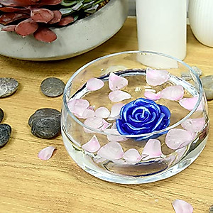 Zest Candle 12-Piece Folding Candles, 3-Inch, Blue Rose