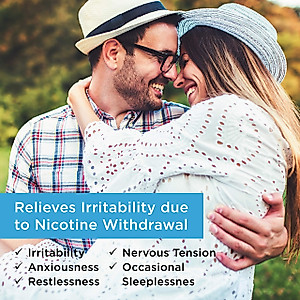 Hyland’s Quitter's Relief, Irritability, Gentle Relief for Smoking Cessation Symptoms, 100 Tablets