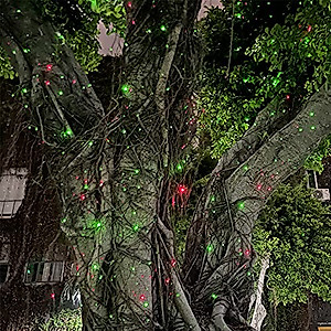 Dalanpa Garden Lights Outdoor Laser Christmas Light Moving Star Projector (Red Green)