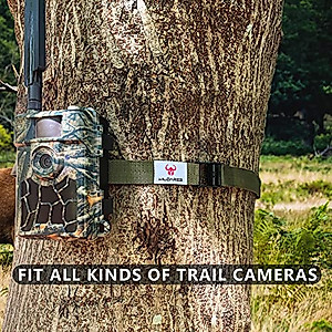 WILDARES 1" x 6.6' Trail Cam Strap,Trail Camera Strap,1800 lbs,Heavy-Duty Game Camera Strap,Tree Belts,Durable Nylon Fiber,Long-Lasting Alloy Buckle,Pack of 2