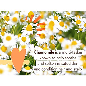 Babo Botanicals Sensitive Baby Fragrance-Free Diaper Cream - with Non-Nano Zinc Oxide, Organic Calendula, Shea & Cocoa Butter - EWG Verified - 3 oz