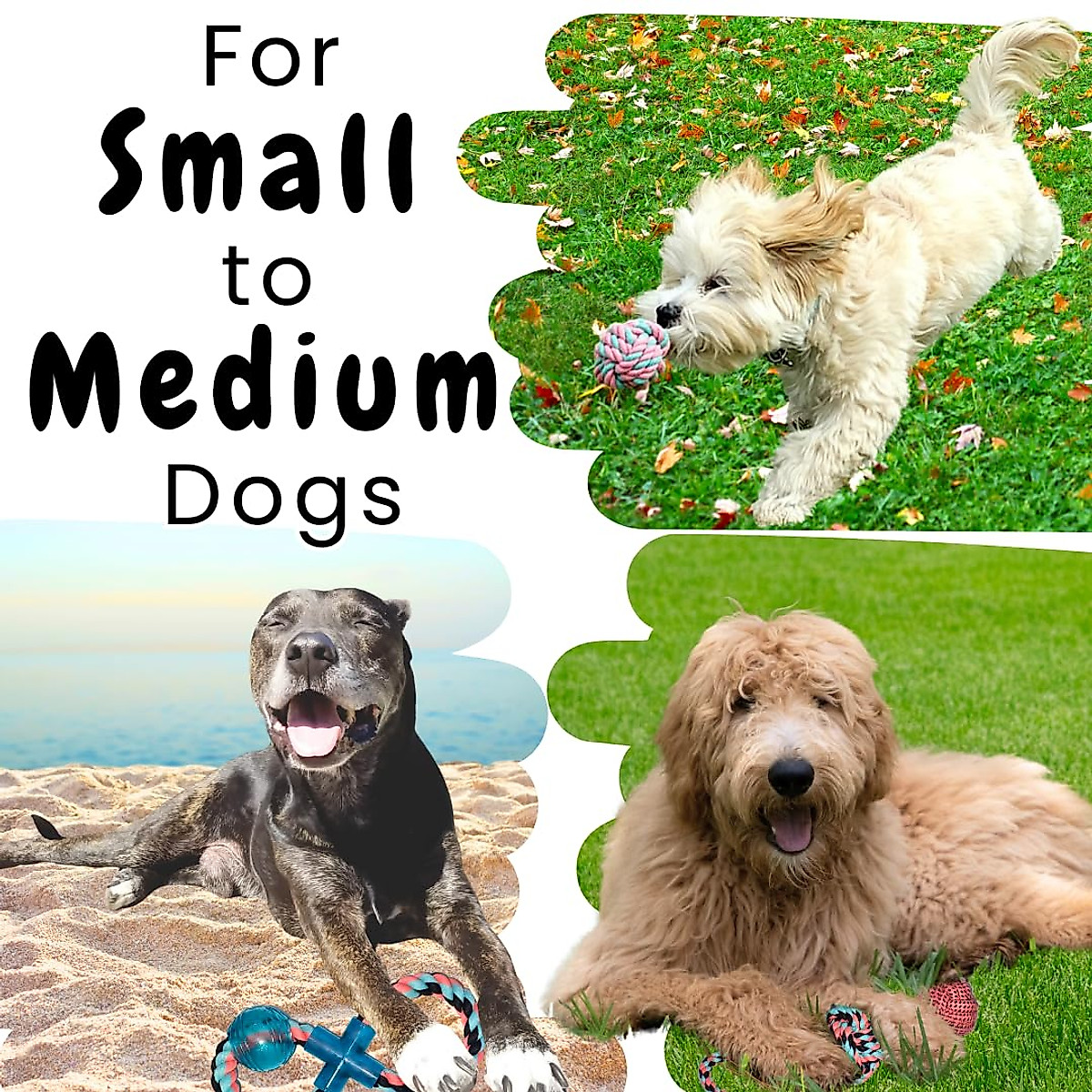 Otterly Pets 9-Pack Durable Dog Rope Toys for Aggressive Chewers – 100% Cotton, Machine Washable Tug of War and Fetch Toys for Small to Medium Dogs and Puppies