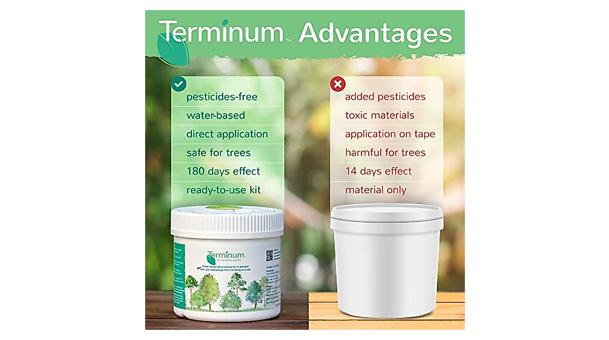 TERMINUM Ant Barrier: Safe, Long-Lasting Ant & Mealybug Control