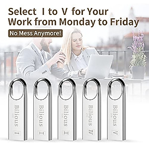 USB Flash Drive, Bilious Portable Keychain Design Thumb Drives, Metal Style Memory Stick U Disk, Waterproof Jump Pen Drive for Storage and Backup (64GB, 5 Pack)