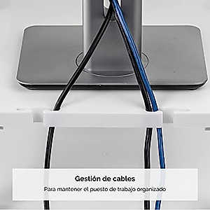 Fellowes Standard Monitor Riser (91712), Platinum/Graphite