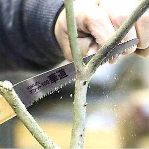 KAKURI Bonsai Saw Folding 4" for Bonsai and Ikebana Cutting, Japanese Pull Saw Razor Sharp Japanese Steel Blade, Mini Pocket Bonsai Pruning Saw for Branch, Foldable Wood Handle, Made in JAPAN