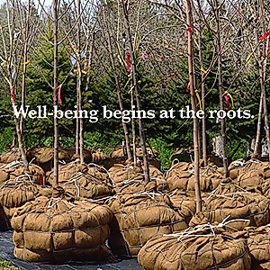 Burloptuous 40"x15 Feet Gardening Burlap Roll - Multipurpose Natural Burlap Fabric, High Density Jute Fiber Material for Decorations, Center Pieces for Home, Rustic Party Décor