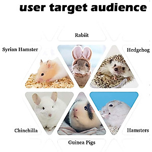 VCZONE 15Pcs Guinea Pig Toys Chinchilla Hamster Toys, Bunny Chew Toys Rat Gerbil Molar Wooden Pine Dumbells Exercise Bell Roller Fun Pet Balls Small Pets Play Toy (15 Pack)