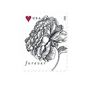 Vintage Rose Pane of 20 Postage Stamps Wedding Stamps Scott 4959 Bundle with Northarvest Clip