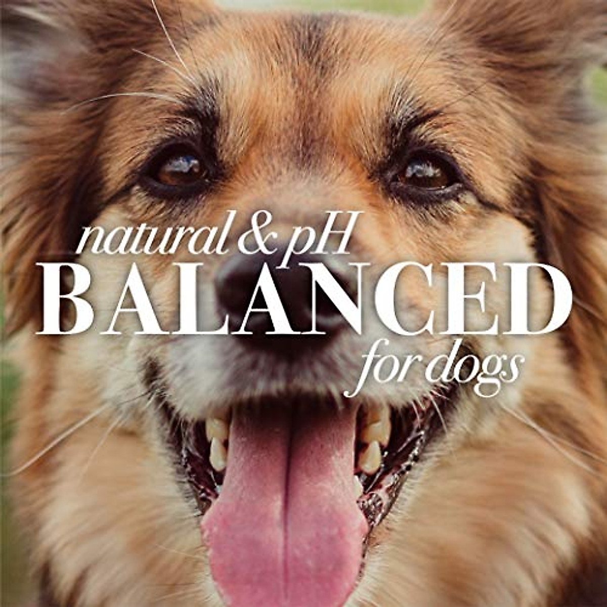 Burt's Bees for Pets Multipurpose Grooming Wipes | Puppy & Dog Wipes for All Purpose Cleaning & Grooming | Cruelty No, Sulfate, & Paraben No, pH Balanced for Dogs - 50 Ct Pet Wipes, Puppy Supplies