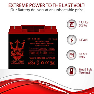Neptune 12V 18AH Battery Sealed Lead Acid Rechargeable SLA AGM Batteries Replaces UB12180 FM12180 6fm18 PS-12180 EXP12180