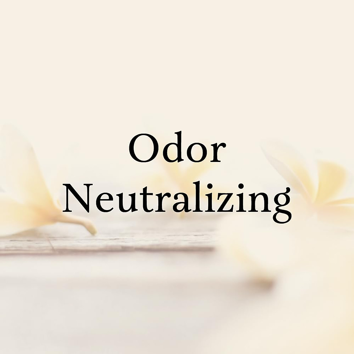 French Vanilla Scented Talc-Free Body Powder, Perfumed Dusting Powder, Camille Beckman 3 Ounce