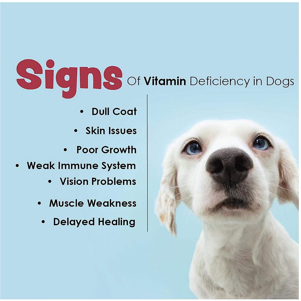 Vita-Tabs - Essential Vitamins, Minerals, Nutrients - Health Supplement for Dogs - Support Immune System, Bones - Liver Flavored - 60 Chewable Tablets