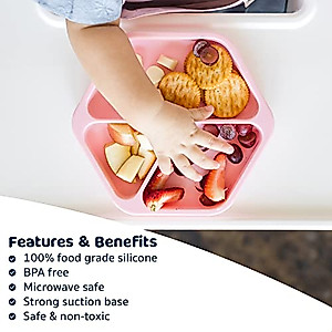 Tiny Twinkle Silicone Suction Baby Plate, Suction Grip Divided Dish for First Foods and Self-Feeding Toddlers, Baby Led Weaning Supplies for Independent Eating (Rose Plate with Lid)