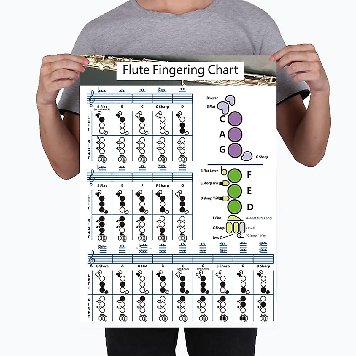 SYCOOVEN Flute Chord Chart, Portable Durable Flute Fingering Chart, White Chord Chart for Flute Fingering Practice, Chord Chart Beginner Student for Teaching or Group Study, Flute Accessories