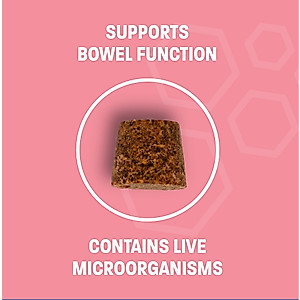 Pet Health Pros Dog Probiotic Chews for Dogs - Support Healthy Digestion Dog Probiotics and Digestive Enzymes for Gut Health for Dogs - for Traveling, Kenneling and Training - Large/Giant Dog - 30 ct