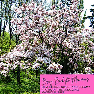 Nika's Home Magnolia Soy Candle 12oz Mason Jar Non-Toxic White Soy Handmade, Long Burning 50-60 Hours Highly Scented All Natural, Clean Burning Large Candle Gift Décor