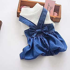 Clothes for Teacup Girl Summer Clothing Summer Spring Dog Thin Pet Pajamas Winter Clothes for Dogs Large