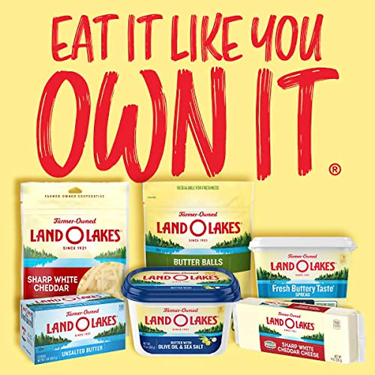 Land O Lakes Butter with Olive Oil & Sea Salt, Spreadable, 13 oz tub