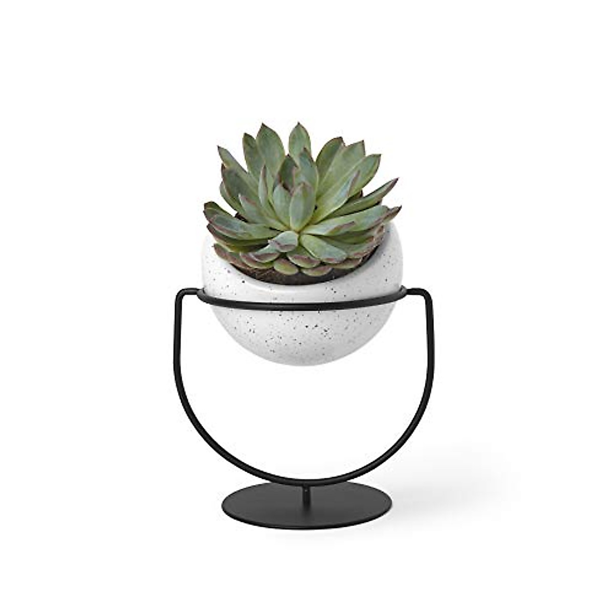 Umbra 1009251-748 Nesta, Table Top or Hanging Modern Planter, Ideal Succulent Plant Holder, White/Black,Single Planter