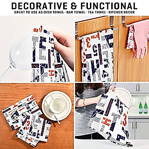 Bulletgxll Kitchen Towels Set of 1 Crackled Frosted Letters Soft Absorbent Dishcloths Reusable Dish Towels Tea Towels Cleaning Cloths for Kitchen Home