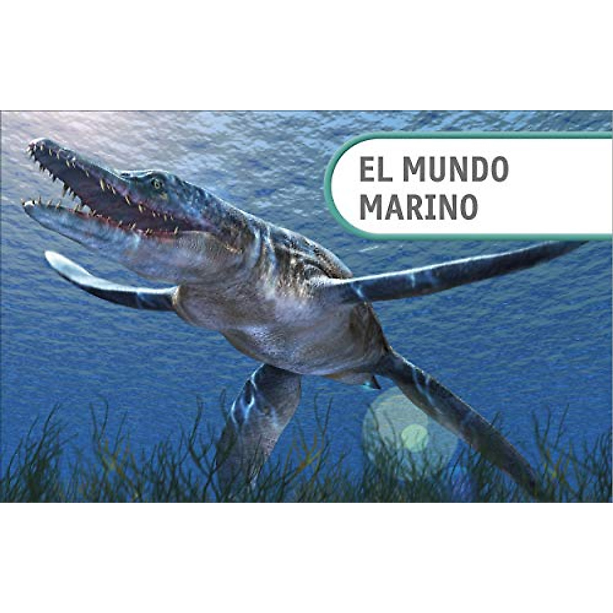 El libro de los dinosaurios (The Dinosaur Book) (DK Our World in Pictures) (Spanish Edition)
